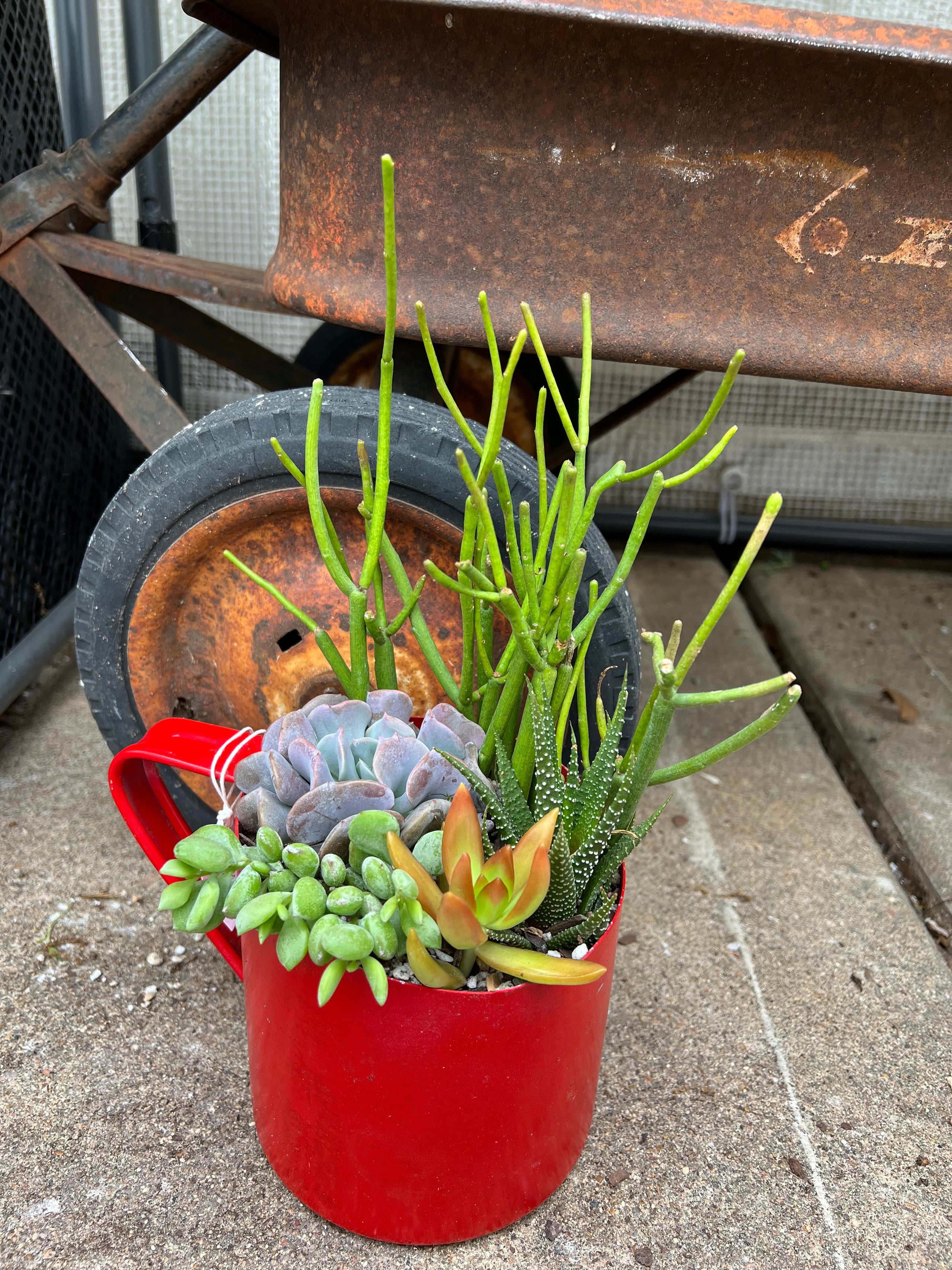 Container: Vintage Coffee Grind Catcher | A Collection Of Thyme
